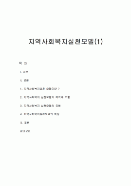 [논문] 지역사회복지실천모델  [분석/조사]-1페이지