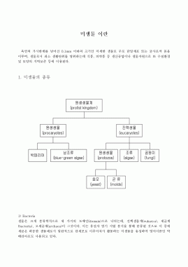 미생물 이란-1페이지