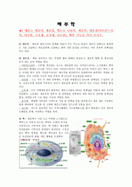 해부학용어정리-1페이지