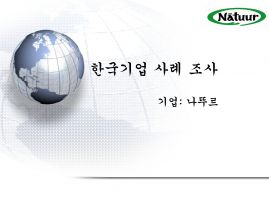 한국기업 사례조사 - 아이스크림 나뚜루(Natuur)-1페이지