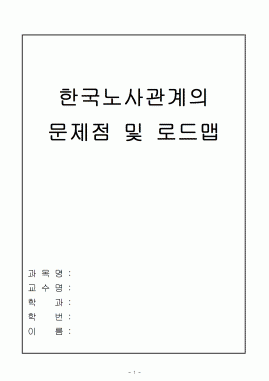 한국노사관계의문제점-1페이지