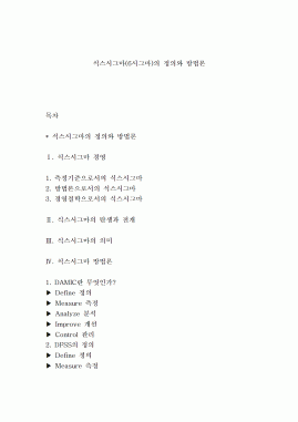 식스시그마(6시그마)의 정의와 방법론-1페이지