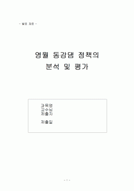 영월 동강댐 정책평가 사례분석-1페이지