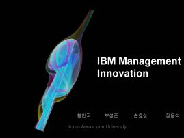IBM 경영혁신-1페이지