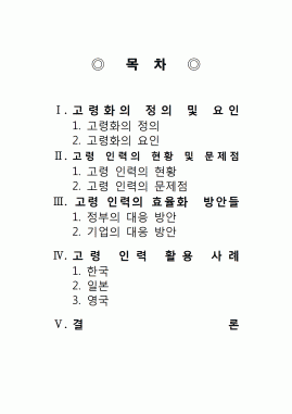 고령 인력의 효율화 방안 보고서-1페이지