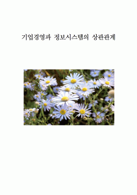 기업경영과 정보시스템의 상관관계-1페이지