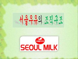 조직의 구조 분석 - 서울우유-1페이지