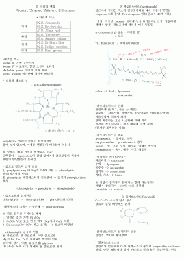 식품화학-1페이지