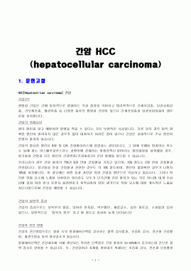 hcc간암 케이스 case-1페이지