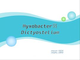 Myxobacteria와 Dictyostelium-1페이지