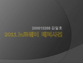 2011 노르웨이  테러사건 보고서-1페이지