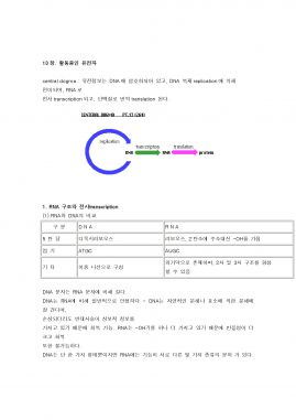 13장. 활동중인 유전자-1페이지