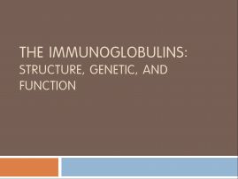 Immunoglobulin의 구조, 유전자, 기능에 관한 모든것! 특A급 자료(그림 다수) 파워포인트(PPT)-1페이지