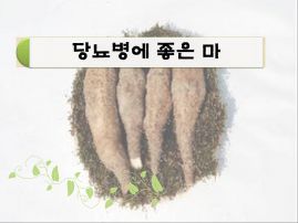 마(건강식품)-1페이지