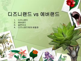 디즈니랜드 vs 에버랜드-1페이지