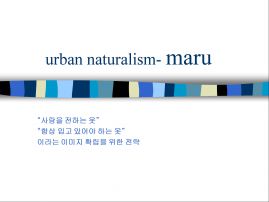인터넷광고론 - 마루 (urban naturalism - maru)-1페이지