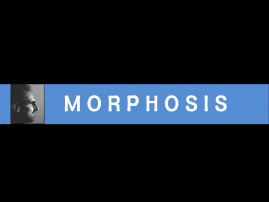 MORPHOSIS CRAWDFORDHOUSE-1페이지