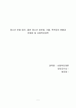 [청소년복지, 청소년 문제] 청소년 문제-음주, 흡연 청소년 성문제, 가출, 폭력등의 현황과 문제점 및 사회복지대책-1페이지