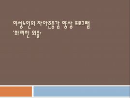 [사회복지 프로포절] 여성노인의 자아존중감 향상 사회복지 프로그램 - 화려한 외출 (2012년 추천 우수)-1페이지