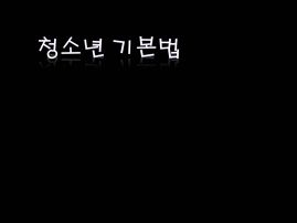 [청소년기본법] 청소년 기본법의 주요 내용과 특징 및 문제점과 개선방안(2012년 추천 우수 레포트 선정)-1페이지