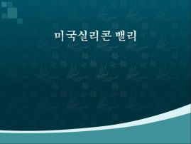 미국 실리콘 밸리-1페이지