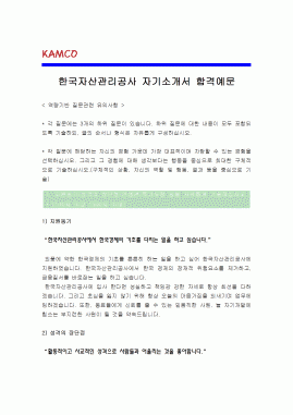 [한국자산관리공사자기소개서] KAMCO한국자산관리공사 자소서 합격예문-1페이지