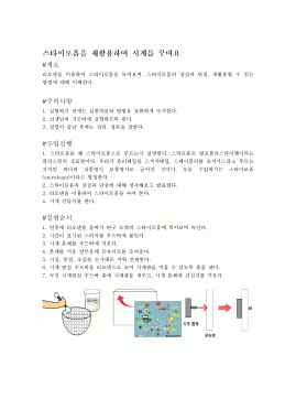 스티로폼 재활용 과학실험 - 스타이로폼을 재활용하여 시계를 꾸며요-1페이지