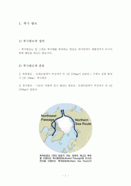 북극항로와 부산의 대응방안-1페이지