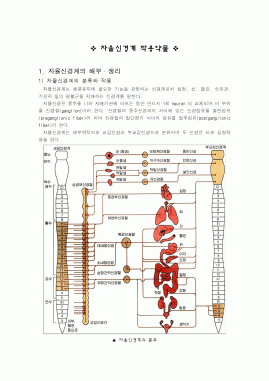 자율신경계 약물-1페이지