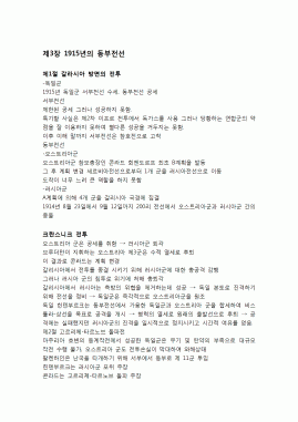 제3장 1915년의 동부전선 & 제4장 베르됭․솜 전투 & 제5장 동부전선-1페이지