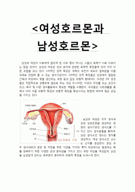 [성의 생물학]여성호르몬과 남성호르몬-1페이지