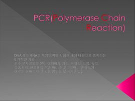 pcr(polymerase chain reaction)-1페이지