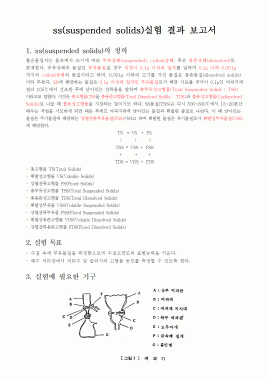 ss결과보고서-1페이지