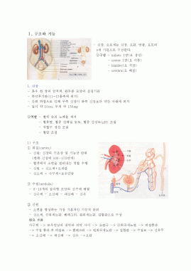 성간 비뇨기계 summary-1페이지