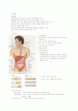 성인간호 소화기계 summary-1페이지