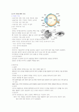 3-1 감각계 summary (눈의 건강문제와 간호 & 귀의 건강문제와 간호)-1페이지