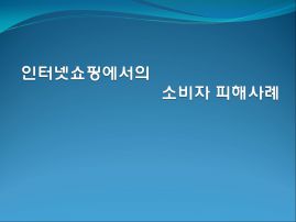 인터넷쇼핑에서의 소비자피해대응방안-1페이지