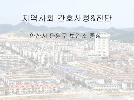 지역사회 간호사정&진단 - 안산시 단원구 보건소 중심-1페이지