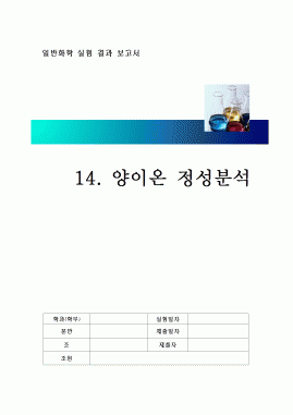 양이온 정성분석 결과보고서-1페이지