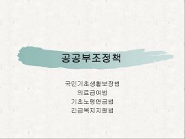 공공부조정책-1페이지