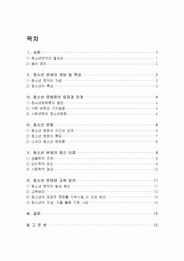 [교육사회] 제 11장 청소년 문제와 교육 요약-1페이지