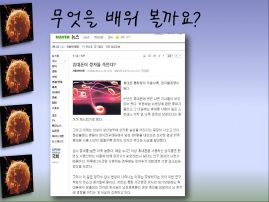 [생물] 정자의 형성과정-1페이지