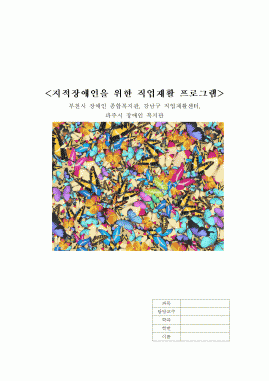 지적장애인을 위한 직업재활 프로그램 - 부천시 장애인 종합복지관, 강남구 직업재활센터, 파주시 장애인 복지관-1페이지