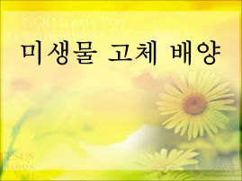 수처리공정실험-미생물 고체 배양(평판배지& 액체& 반고체& 사면배지)-1페이지