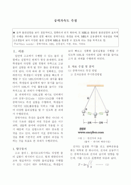 중력가속도 측정 [공학/컴퓨터/통신] -1페이지