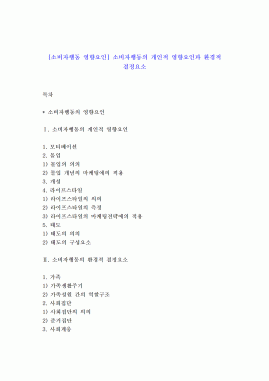 [소비자행동 영향요인] 소비자행동의 개인적 영향요인과 환경적 결정요소-1페이지