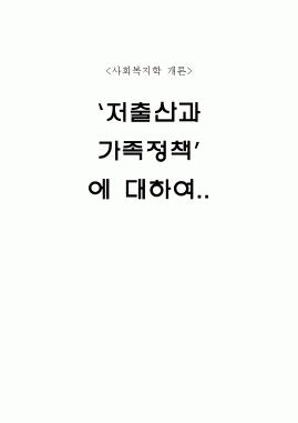 저출산과 가족정책에 대하여-1페이지