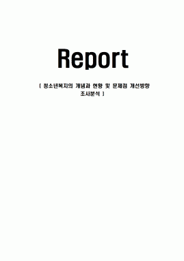 청소년복지의 개념과 현황 및 문제점 개선방향 조사분석-1페이지