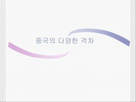 중국의 다양한 격차-1페이지