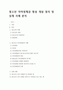 청소년 자아정체감 형성 개념 정리 및 실제 사례 분석-1페이지